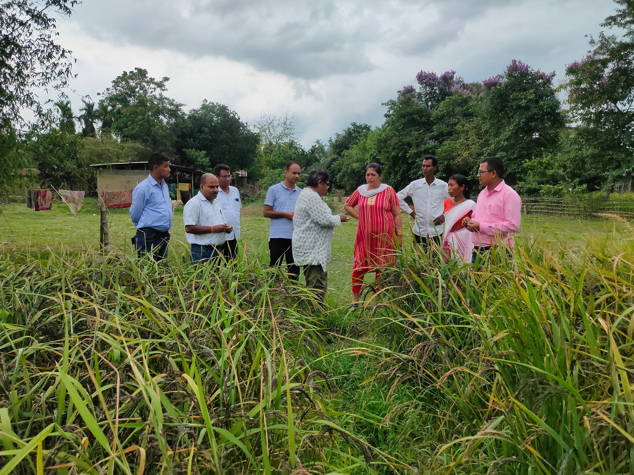 Implementation of Seed Village Programme - RGVN-APPI Project in ...