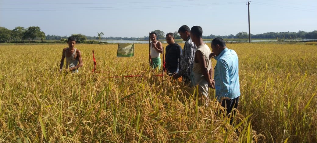 ITC-NITI Aayog Aspirational District Programme: - RGVN