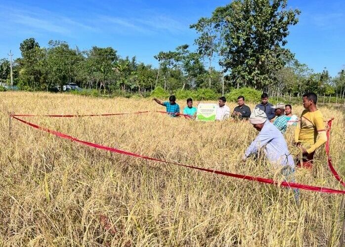 RGVN – 32 years of participatory development